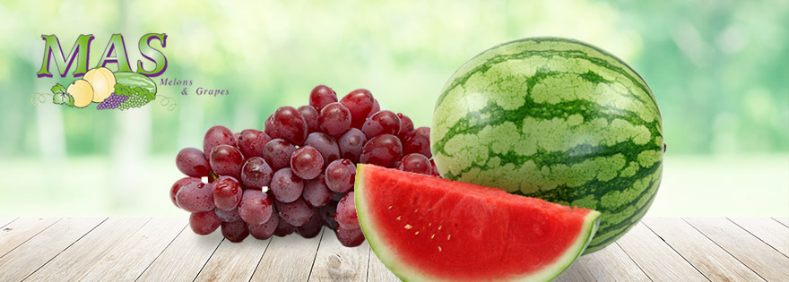 Cold Storage Case Study: Increasing Energy Efficiency - Naya Energy